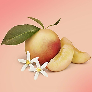 Caress Body Wash for Women, Daily Silk, 18 oz, 4 Count, softening