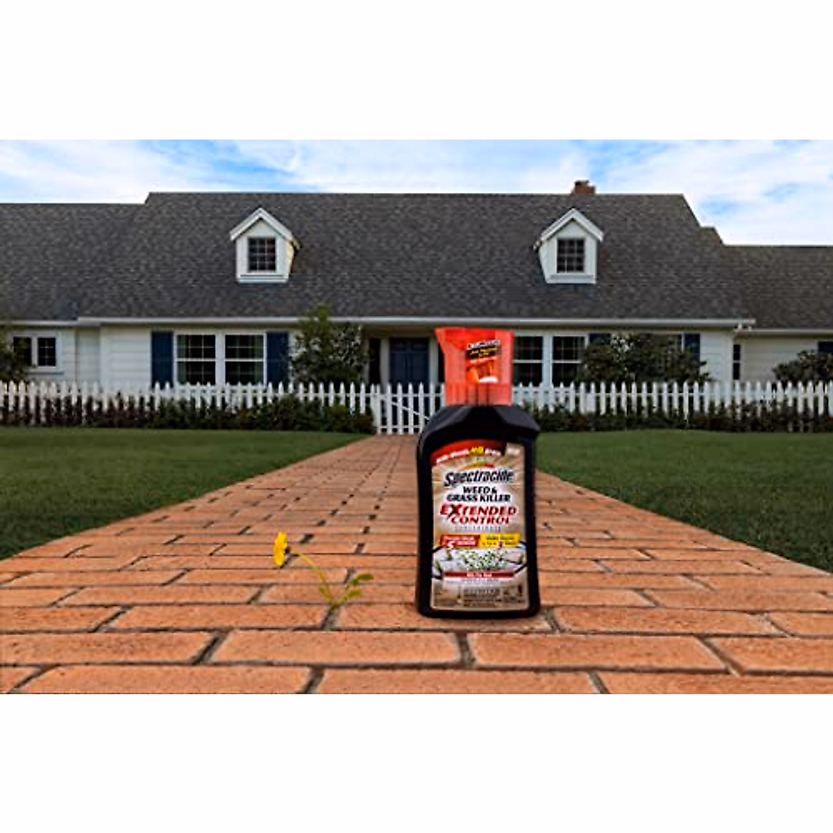 Spectracide Weed and Grass Killer with Extended Control Concentrate, 32 Ounces, with Accumeasure System (Case of 6)
