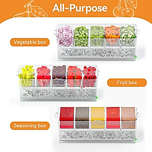 Dimber Chilled Condiment Server with Lid, Condiment Tray with Ice cube, 500 Forks, 2 Tongs and 6 Spoons,Condiment Caddy, Condiment Containers with Lids, Perfect for Salad Bar, Mimosa Bar, Fruit Tray