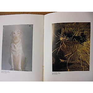 Jamie Wyeth: Recent Works, May 2-24, 1984 (An Exhibition for the Benefit of The Society of Memorial Sloan-Kettering Cancer Center)