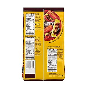 HERSHEY'S and REESE'S Assorted Chocolate Flavored Snack Size, Candy Party Pack, 31.5 oz