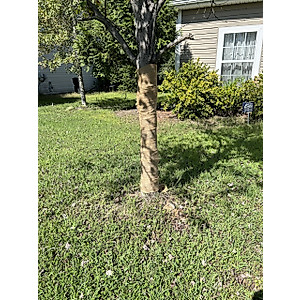 40 inches Wide x 24 feet Long Burlap Roll - Premium Jute Liner | Heavy Duty (7 oz) | Frost Guard Seed Cover for Gardening | Natural Jute-Burlap - 8 yds | Ideal for Erosion Control,Table Runners,Decor