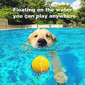 Dog ball on rope toys for aggressive chewers,Interactive dog ball toy almost indestructible for small dogs,Floating puppy chew toys2.76in