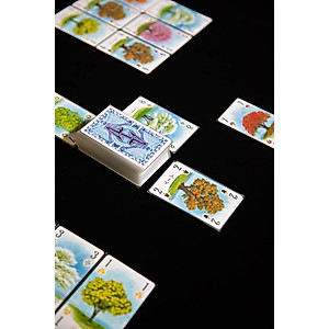 Renegade Game Studios Arboretum Strategy Card Game That Challenges 2-4 Players Aged 8 & Up to Create The Most Beautiful Garden (Packaging May Vary)