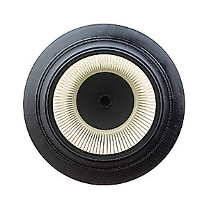 Reinlichkeit 2 Pack Cartridge Filter for Craftsman 17816 9-17816 Wet/Dry Air Filter Replacement Part