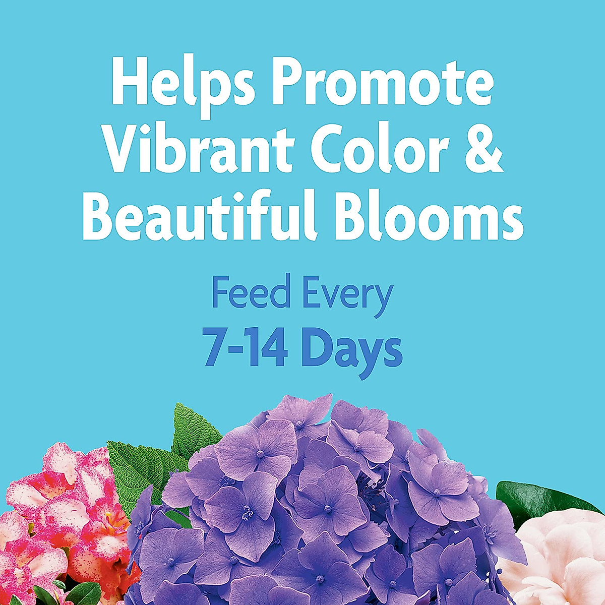 Miracle-Gro Water Soluble Miracid Acid-Loving Plant Food