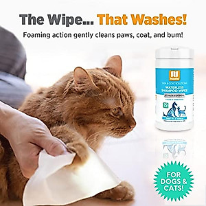 Nootie Waterless Shampoo Wipes For Dogs & Cats-Long Lasting Fragrances-Sold In Over 3000 Vet Clinics-Made In U.S.A. 70 Count