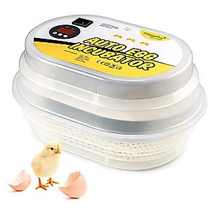 Magicfly Mini Egg Incubators for Hatching Eggs, with Automatic Egg Turning, 9-12 Eggs Hatching Incubator for Chickens, Ducks, Goose, Birds