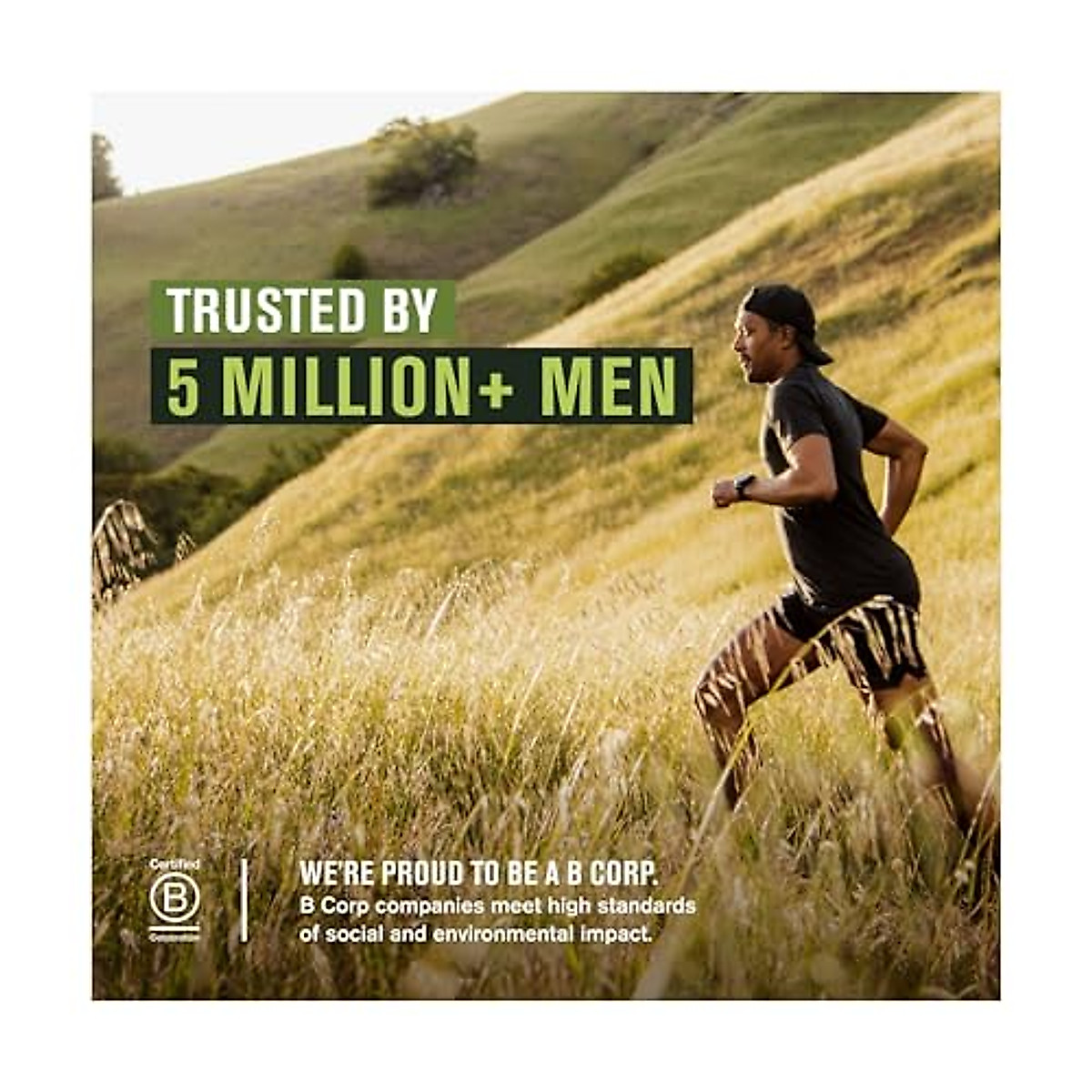 Every Man Jack Sandalwood Scent Hydrating Beard Oil, Paraben Free, Natural, 1.0 Fluid Ounce (Pack of 1)