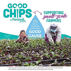 Good Chips Beet & Yacon - Crispy, Baked, No Oil, No Added Salt - Organic, High Fiber, Prebiotic Superfood - Healthy, Vegan Snack - 0.7 oz, Pack of 12