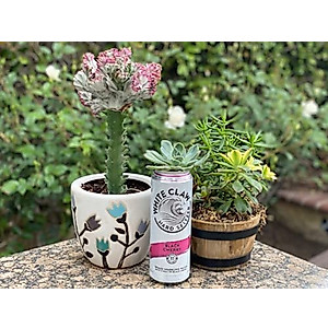 The Draft Top 3.0 Original Beer Can Opener - Soda Can Opener - Topless Can Opener - Handheld Safety Easy Manual Can Opener, Smooth Edge Effortless Rip and Sip Opener, As Seen on Shark Tank