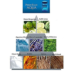 Perry Ellis Perry Ellis Aqua Men 3.4oz EDT Spray, 0.25oz EDT Spray, 6.8oz Deodorizing Body Spray, 1.7oz Shower Gel 4 Pc Gift Set