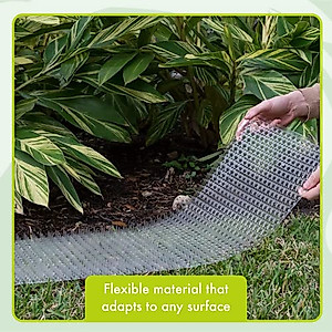 Homarden Cat Deterrent Outdoor Mat: Pet Deterrent Mats for Cats and Dogs - Indoor/Outdoor Deterrent Training Spike Mat Devices - Keep Away Cats Plastic Mats with Spikes - 16 x 13 Inches, 6 Pack