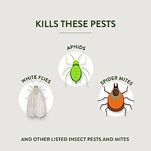 Garden Safe Neem Oil, 10 Fl Oz,  Case Pack of 6