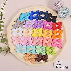 Ruyaa 50 Pieces 25 Colors Fully Lined No Slip Hair Clips, Barrettes, Hair Accessories for Girls, Toddlers, Infants (Candy Colors 50pcs)