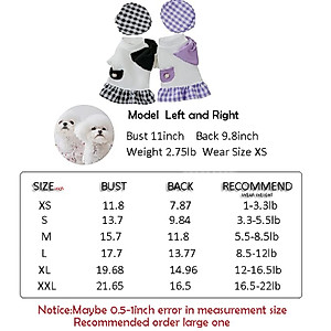 Pet Girls Suit Vintage Pearl Plaid Bow Dog Tutu Dress with Adjustable Hat Doggie Sweatshirt Puppy Girl Funny Costume Spring Dog Cat Outfits Apparel