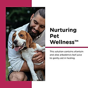 Nutri-Vet Liquid Bandage Spray for Dogs | Discourages Licking and Chewing | Protects & Soothes Minor Injuries | 2 Ounces