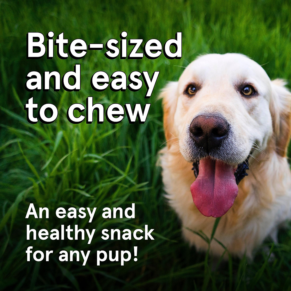 Real Meat Dog Treats - 12oz Bag of Bite-Sized Air-Dried Lamb Jerky for Dogs - Grain-Free Jerky Dog Treats Made up of 95% Human-Grade, Free-Range, Grass Fed Lamb - All-Natural High Protein Dog Treats
