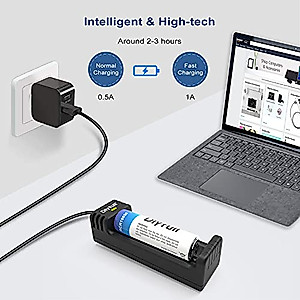 18650 Battery Charger, Dlypow 2 Bays Battery Charger with Auto-Charging Current for IMR/ICR Li-ion 22650 18650 18490 17500 RCR123 14500 and 1.2V Ni-MH Ni-CD AA AAA Rechargeable Batteries