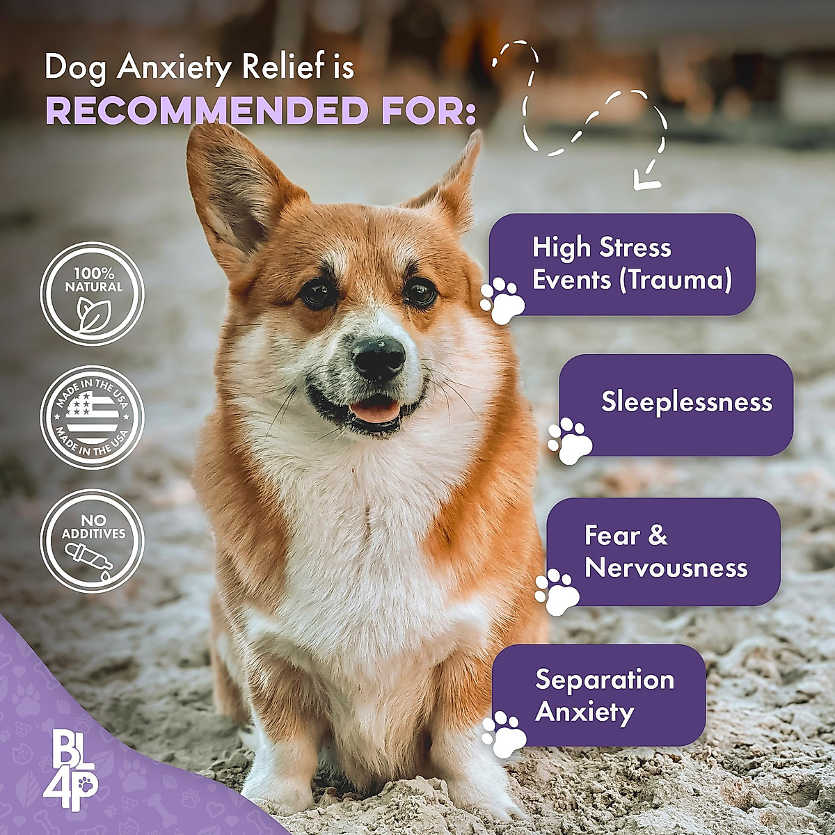 Pet Relax Dog Calming Anxiety Relief - Long-Lasting Dog Relaxants for Stress Relief, Natural Solution for Separation Anxiety, Travel, Thunderstorms, and Fireworks - 400 Odorless, Tasteless Pills