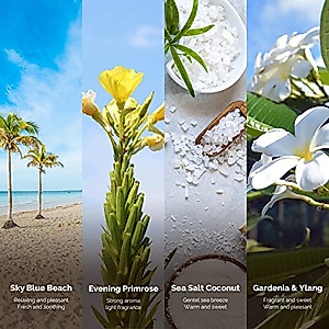 MelodySusie Candles for Home Scented, Candles for Home Spa Manicure,4 Pack Natural Soy Wax Blend Essential Oil Candle Gifts for Women and Men, Home Air Fresh and Relaxation(Coconut Fragrance)