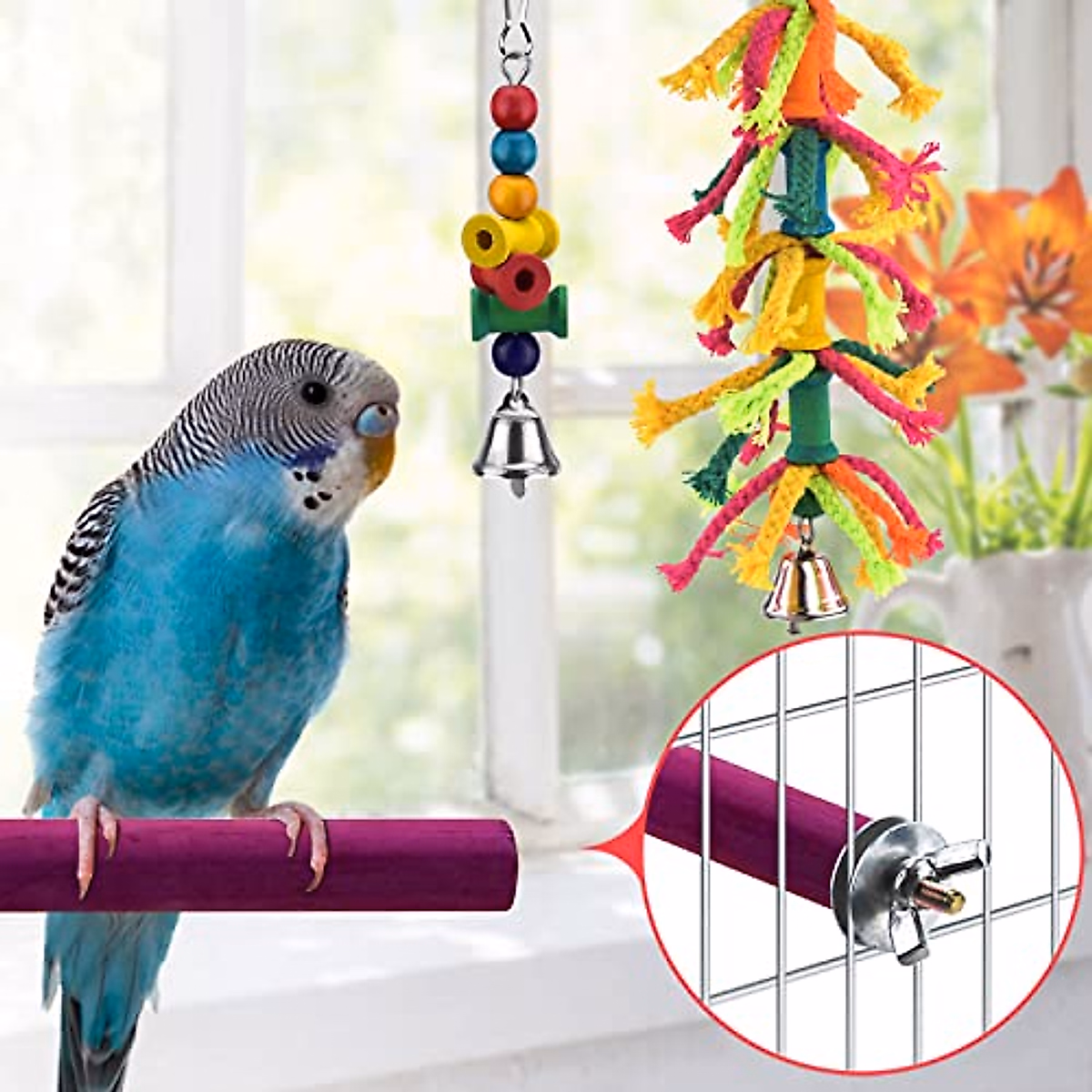 KATUMO Bird Toys, Natural Coconut Bird House with Colorful Ladder Hanging Chewing Toys Hammock Climbing Ladder Bird Colorful Toys with Bells for Parakeet, Conure, Cockatiel, Mynah, Love Birds, Finch