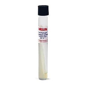 Rhizobium Radiobacter (Agrobacterium Tumefaciens), Living, Tube