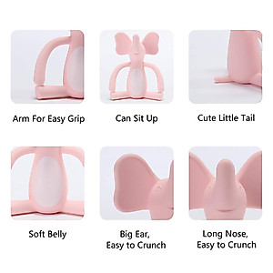 Baby Teether, Food Grade Silicone Baby Teething Toy, Infant teether chew Toy, Natural Organic, BPA Free, Multi-Texture Design Mushroom Teether, for Toddlers