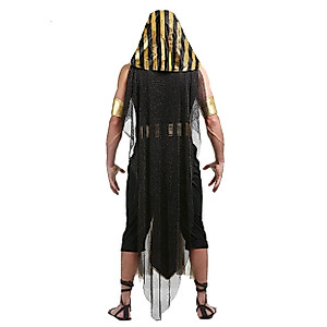 Adult All-Powerful Pharaoh Costume Plus Size Egyptian Pharaoh Costume 4X
