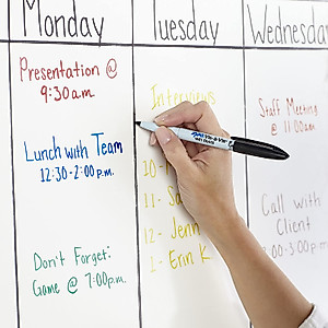 Expo Vis-A-Vis Wet-Erase Marker, Fine Point, Black Ink, Dozen (San16001)