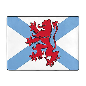 LIICHEES Flag of Boomerville, Dream SMP Area Rug 63x48in Washable Rugs for Living Room Bedroom Large Rug Indoor Decorative Carpet Yoga Mat