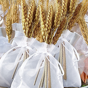 500 Pcs Organza Gift Bags Jewelry Bags Small Mesh Bags Drawstring Sachet Bags Wedding Favor Bags Bracelet Bags for Packaging Sheer Bags Jewelry Pouches for Small Gifts (White, 3 x 4 Inch)