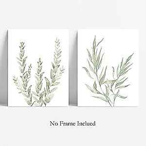 Howwii Botanical Boho Bathroom Decor Wall Art Prints, UNFRAMED Sage Green Plants Decor for Bedroom|Office, Minimalist Eucalyptus Leaves Watercolor Art Prints, Set of 4 Pictures, 8"x10" No Frames