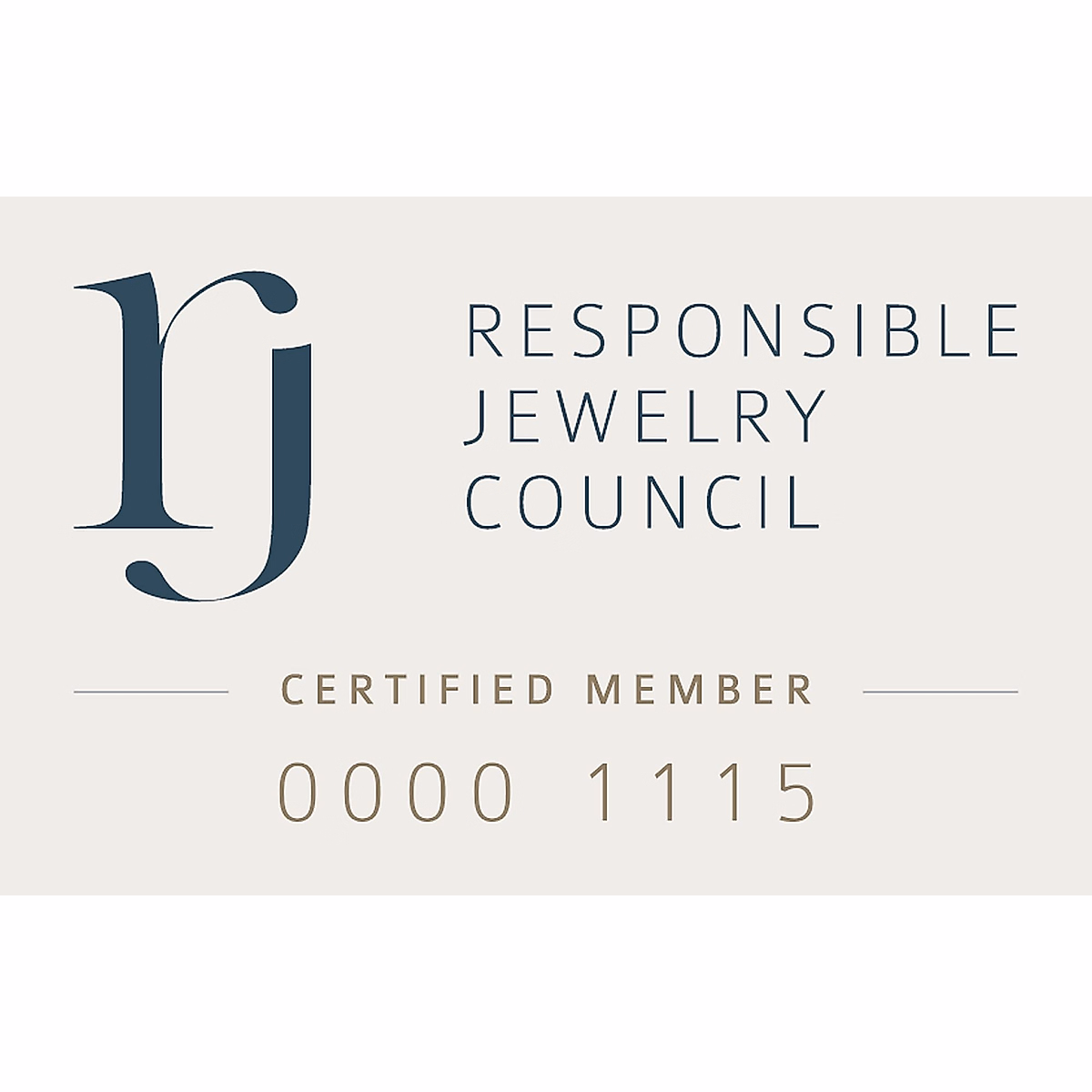 14k Gold Small Initial Medal Pendant Necklace for Girls Teen | Chain 16+2 inches | Jewelry from Italy