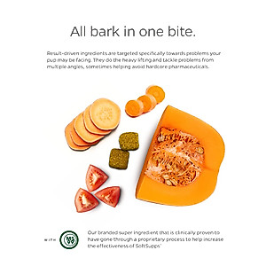 Pet Parents® Probiotic SoftSupps® Digestive Enzymes for Dogs, Probiotics for Dogs with Pumpkin for Dogs & Dog Digestive Enzymes, Anti Diarrhea for Dogs, 90ct Canine Probiotic Chews for Dogs