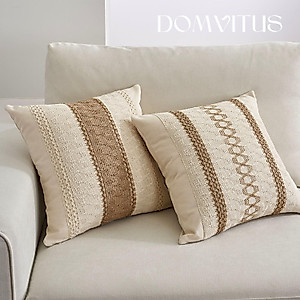 DOMVITUS Boho Pillow Covers 18x18, Throw Pillow Covers for Farmhouse Accent Decorative Throw Pillows, Neutral Pillow Covers for living room bedroom couch, One Stripe, 1PC