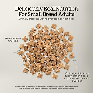 Now Fresh Grain-Free, Dry Dog Food, Small Breed Kibble, Real Meat and Fish, Turkey, Salmon and Duck Adult Recipe, 6 lb Bag