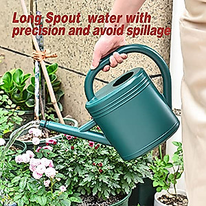 Watering Can 1 Gallon for Indoor Plants, Garden Watering Cans Outdoor Plant House Flower, Gallon Watering Can Large Long Spout with Sprinkler Head (Grey)