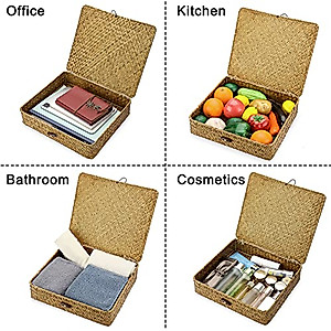 BTSKY 1 Pack Large Wicker Basket With Lid Flat Woven Storage Bins for Shelf Organizing Natural Seagrass Storage Baskets with Lids Home Utility Organizer Box for Home & Office Supplies, Caramel