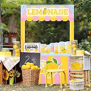 Vansolinne Lemon Party Supplies Lemonade Stand Backdrop Banner Lemon Photo Booth Props Decorations Fabric Selfie Frame Prop for Summer Birthday Bridal Baby Shower Supplies