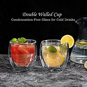 Double Wall Cups Glass 8 OZ - Set of 6, Insulated Thermal Mugs Glasses For Tea, Coffee, Latte, Cappucino, Cafe, Milk