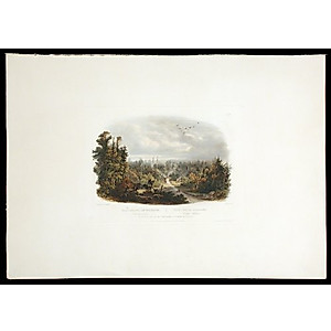 Forest Scene on the Tobihanna; Alleghany Mountains