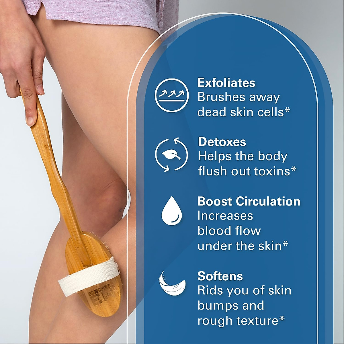 Dry Body Brush | Anti Cellulite Brush | Blood Circulation, Skin Smoothing | Tighten, Tone, Exfoliate & Firm Skin | Use on Scalp, Skin & Muscles