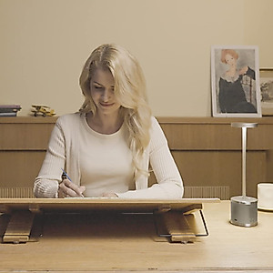 JALVDE Rechargeable Desk Lamps LED Light Battery Dining Lamp, Outdoor Decorative Task Lights for Restaurant, Dinner, Patio