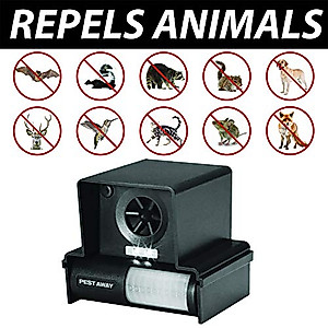 PREDATORGUARD PestAway Outdoor Animal & Cat with Motion Sensor Stops Animals Destroying Your Gardens & Yard