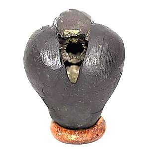 Dhumavati Shaligram/Adwaitya Golden Dhumavati Dasha MahaVidya Shaligram, Fossil, Fossil