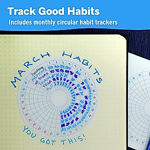 Ultimate Productivity Stickers Set - Large Value Pack of 20 Planner Sticker Sheets - Calendars, to Do Lists, Habit Trackers, Goals - Accessories & Supplies for Dot Grid Journals by Sunny Streak