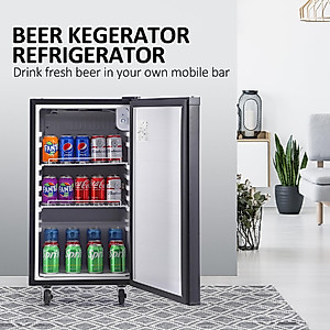 Beer Kegerator, Single Tap Draft Beer Dispenser, Full Size Stainless Steel Keg Refrigerator With Drip Tray, CO2 Cylinder, 32°F- 50°F Temperature Control