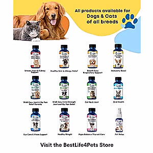 BestLife4Pets Oral Health for Cats - Cat Dental Care Supplement Anti inflammatory Pain Relief for Stomatitis Gingivitis and Gum Disease Cat Supplies for Dental Care - Easy to Use Pills (450 ct)