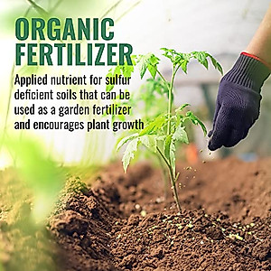 DL Wholesale Sulfur Bag 4lb Organic Plant Fertilizer, Garden Planting Soil Food for Vegetable Garden, Succulents, OMRI Certified